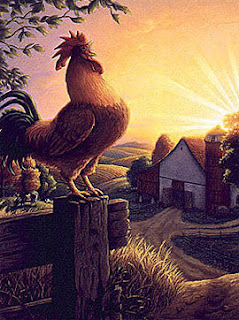 El rincón de la Poesía: Entre Gallos y Madrugadas