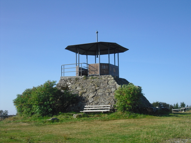 Der Schwarzwald und seine Natur: Kandel, der höchste Berg des Mittleren ...
