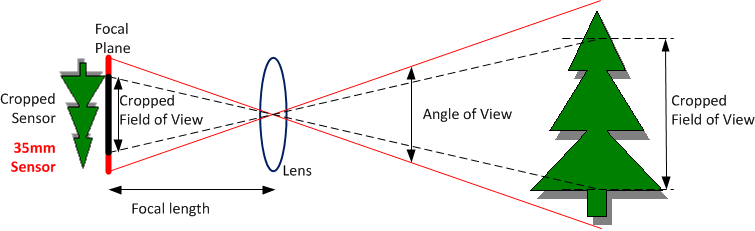 School Of Digital Photography: Understanding Digital Camera Sensors and ...
