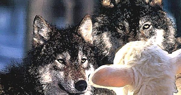 III Percent: When someone shows you who they are...believe them ...