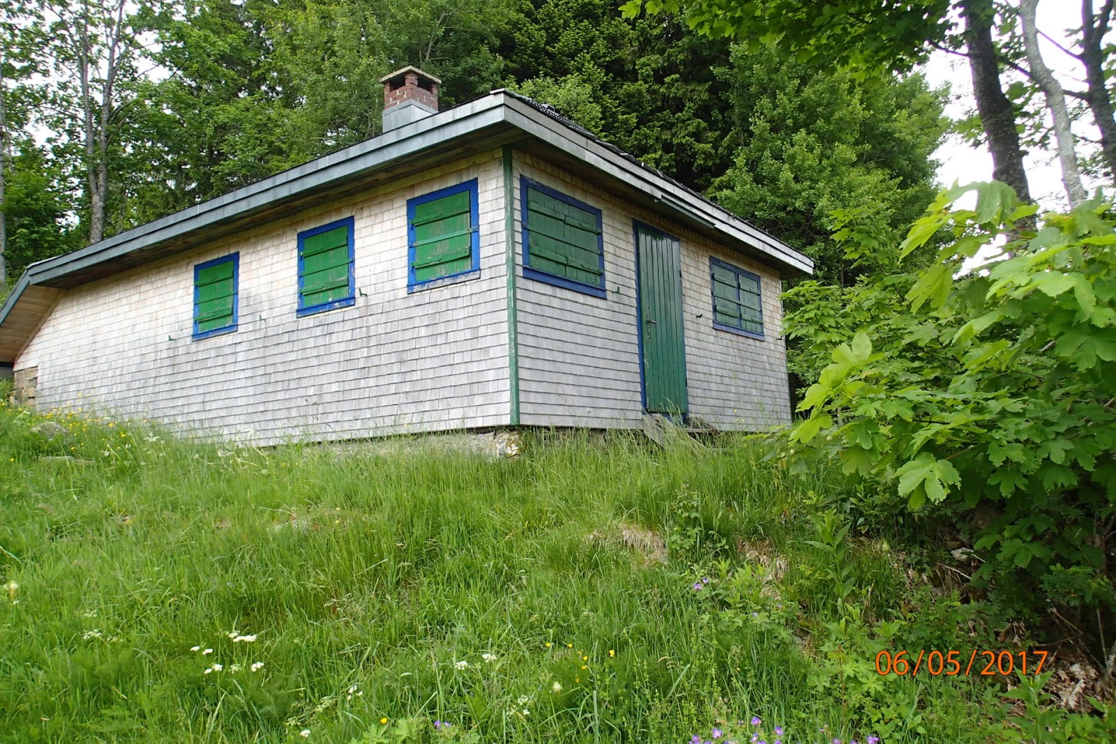 After Nature: Our visit to the Heidegger cabin (Heidegger's hut)