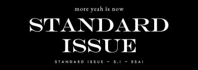 STANDARD ISSUE: Polygon Heroes