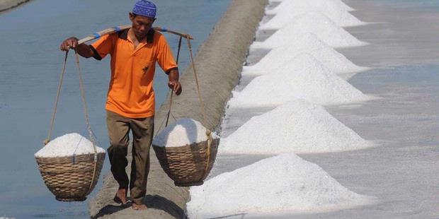Jual Garam Madura
