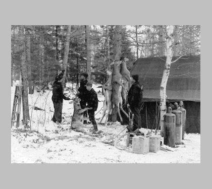 Deer hunting in wisconsin | Deer hunting, Deer camp, Hunting camp