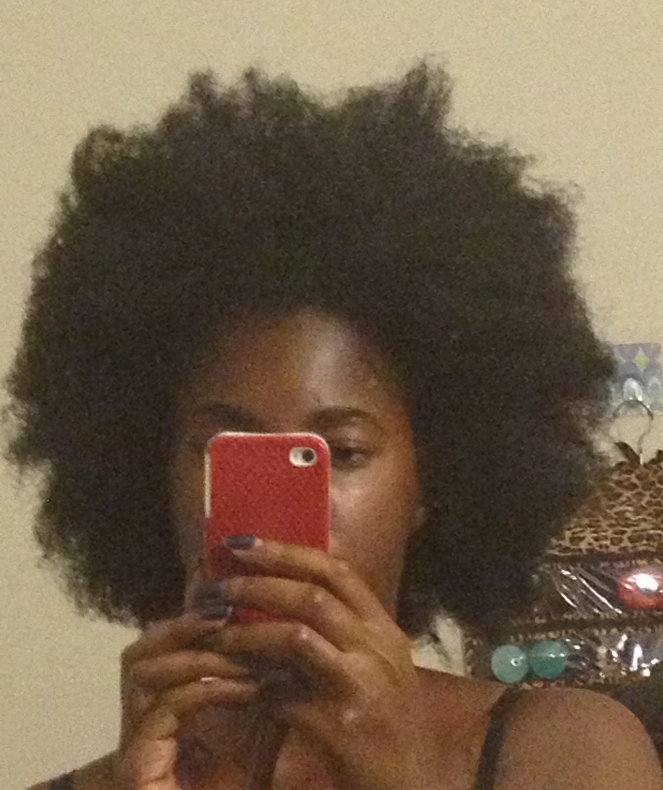6FOOTLONGHAIR: My FRO is Back