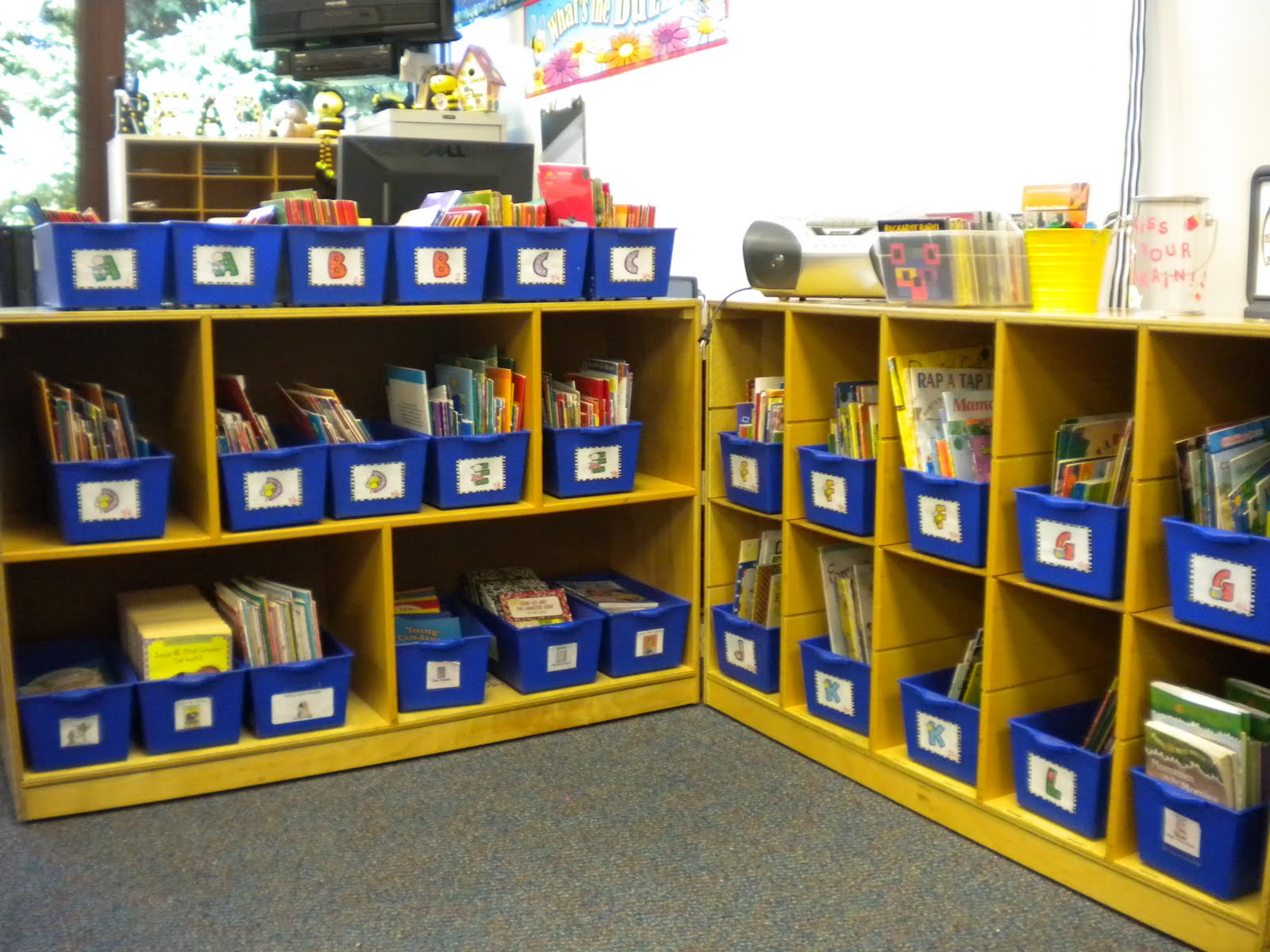 What's The Buzz in First: Room Pics Day #2 {Massive Library}