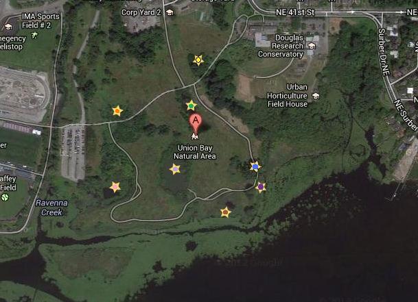 Observing The Natural World: Field Guide & Walking Tour for Union Bay ...