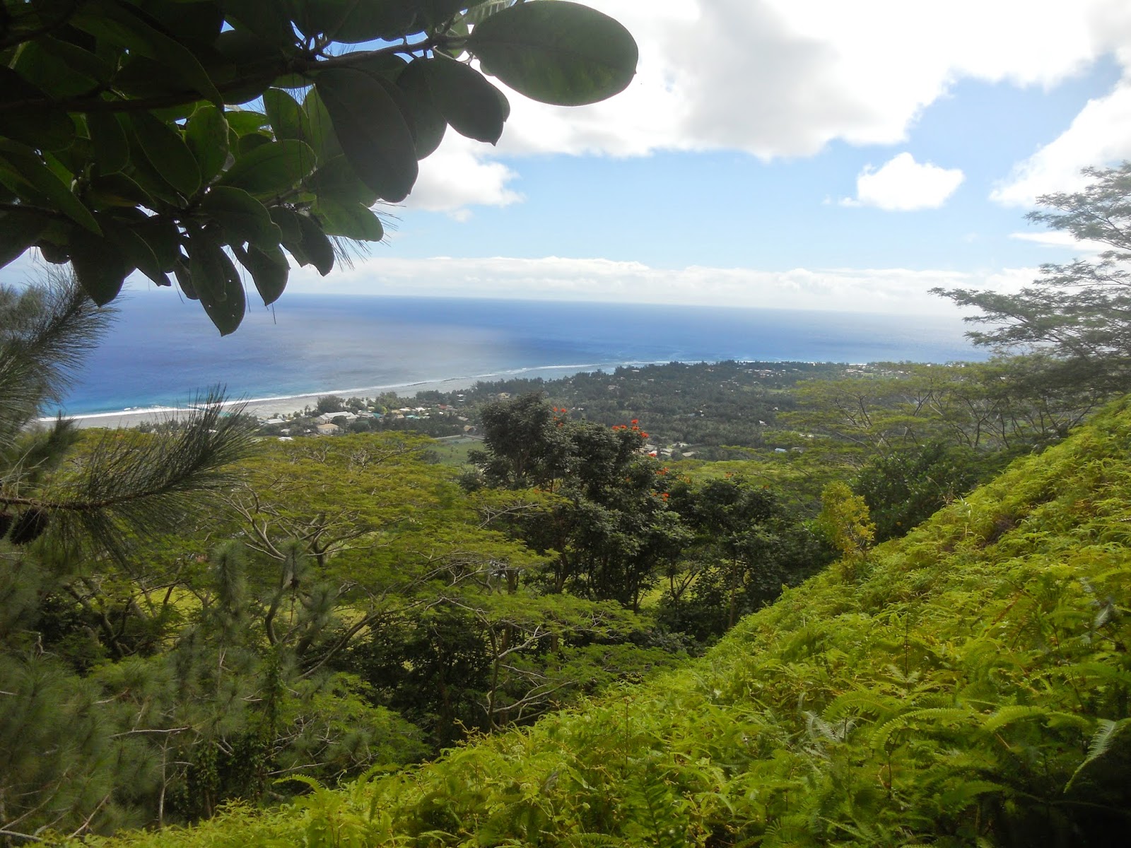Another Day in New Zealand: Rarotonga Hike - Raemaru Heights Lookout