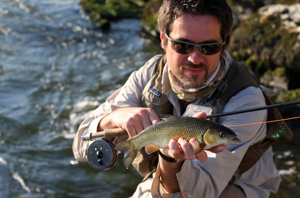Fishing In Croatia (and in the neighbourhood): River Sava fly fishing ...