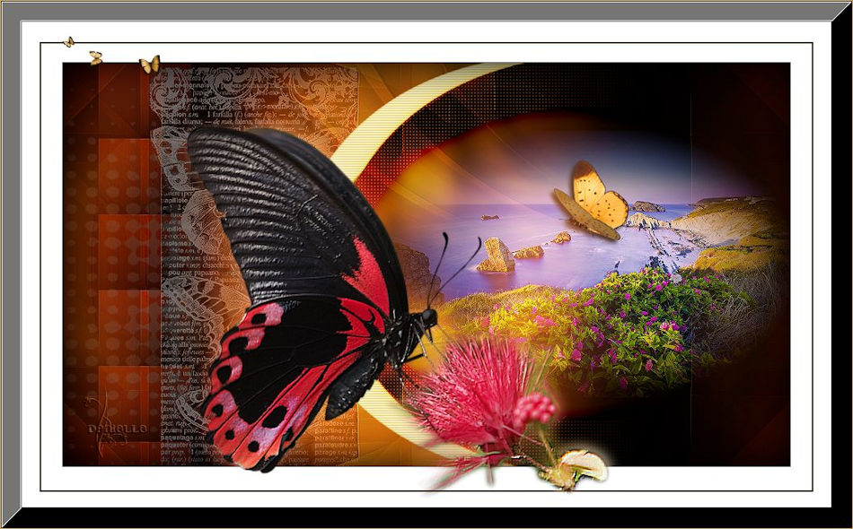 Le blog de Libellule: Morpho bleu