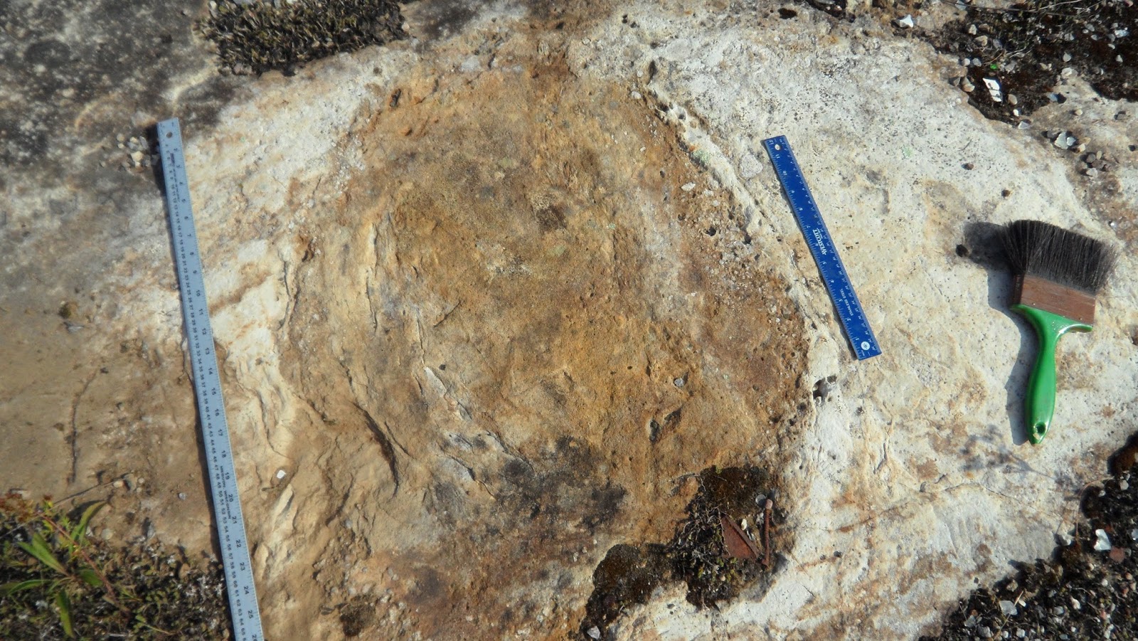 Fossils and Geology of Lanark County, Ontario: Frothed Sandstone and ...