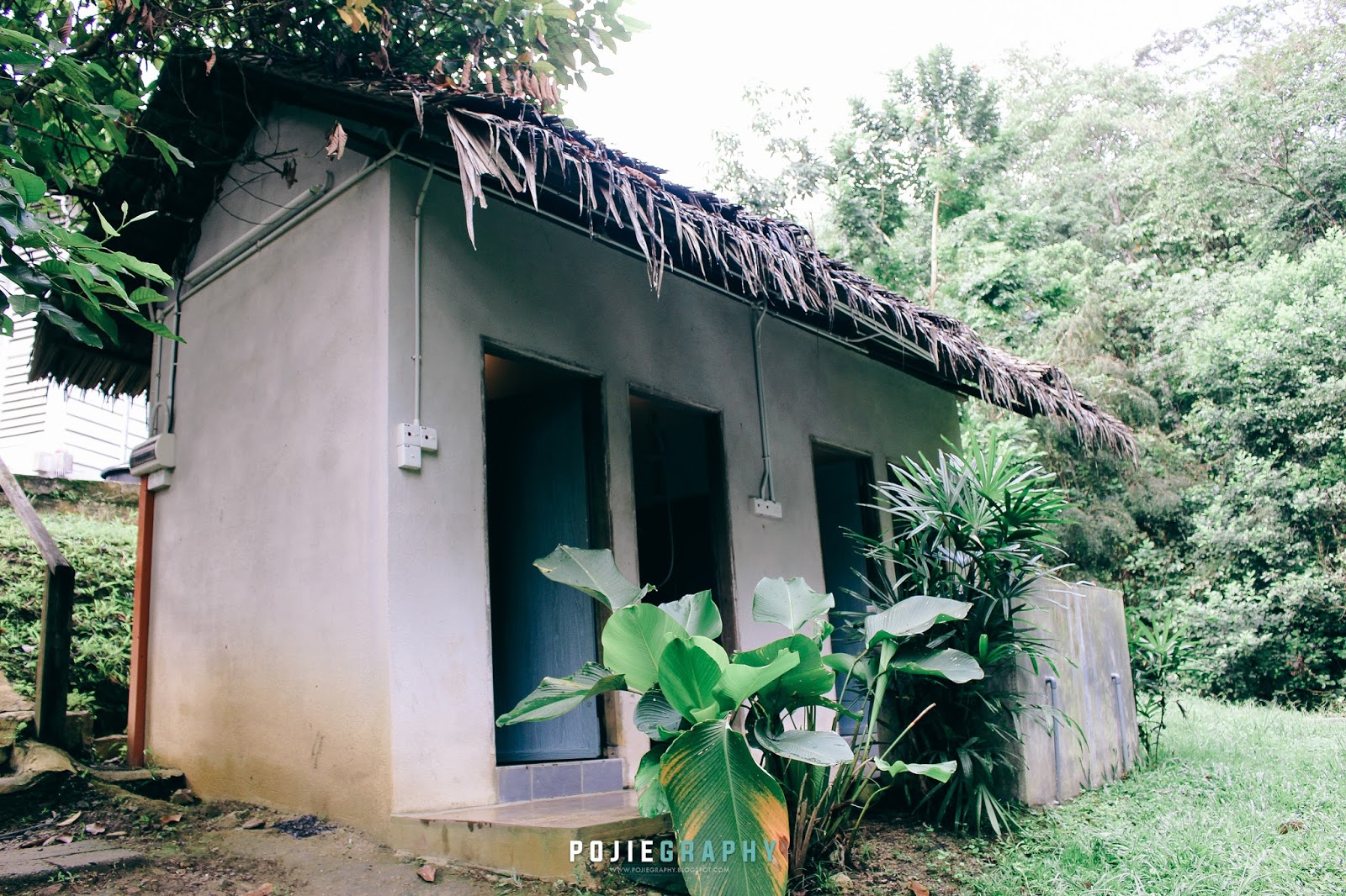 Time Capsule Retreat, satu penginapan unik di Sungai Lembing, Pahang ...