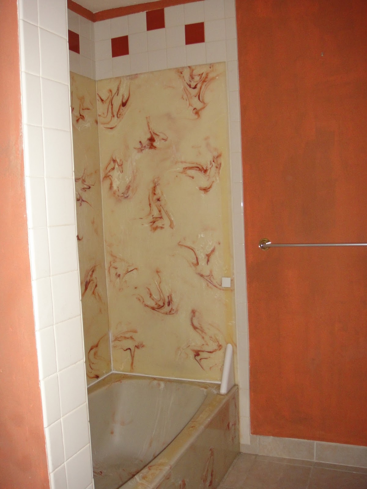 The Lisa Lane Project