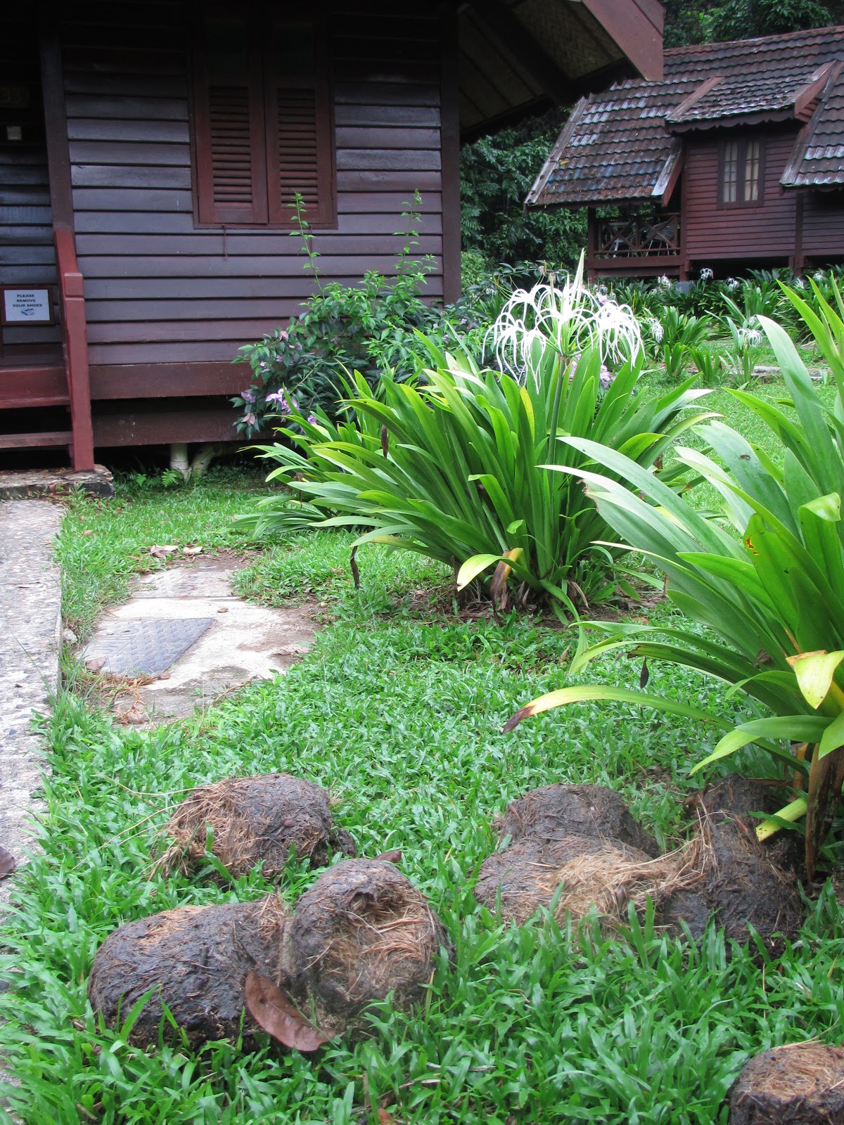 dari mata turun ke hati: Taman Negara