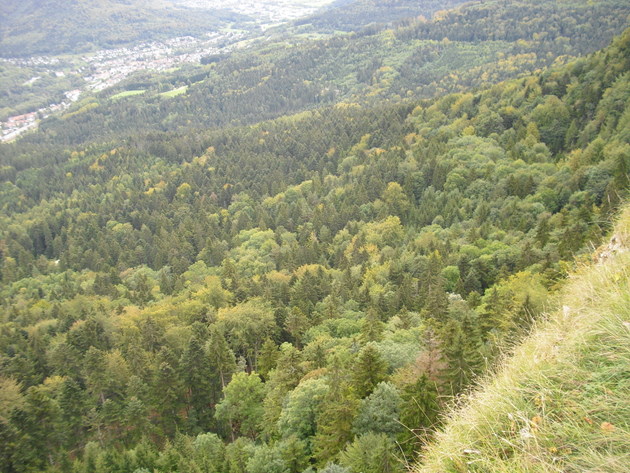 Die Schwäbische Alb und ihre Natur: Aussicht vom Hörnle in den Balinger ...