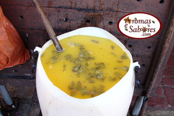 Aromas e Sabores: Tucupi - temperos