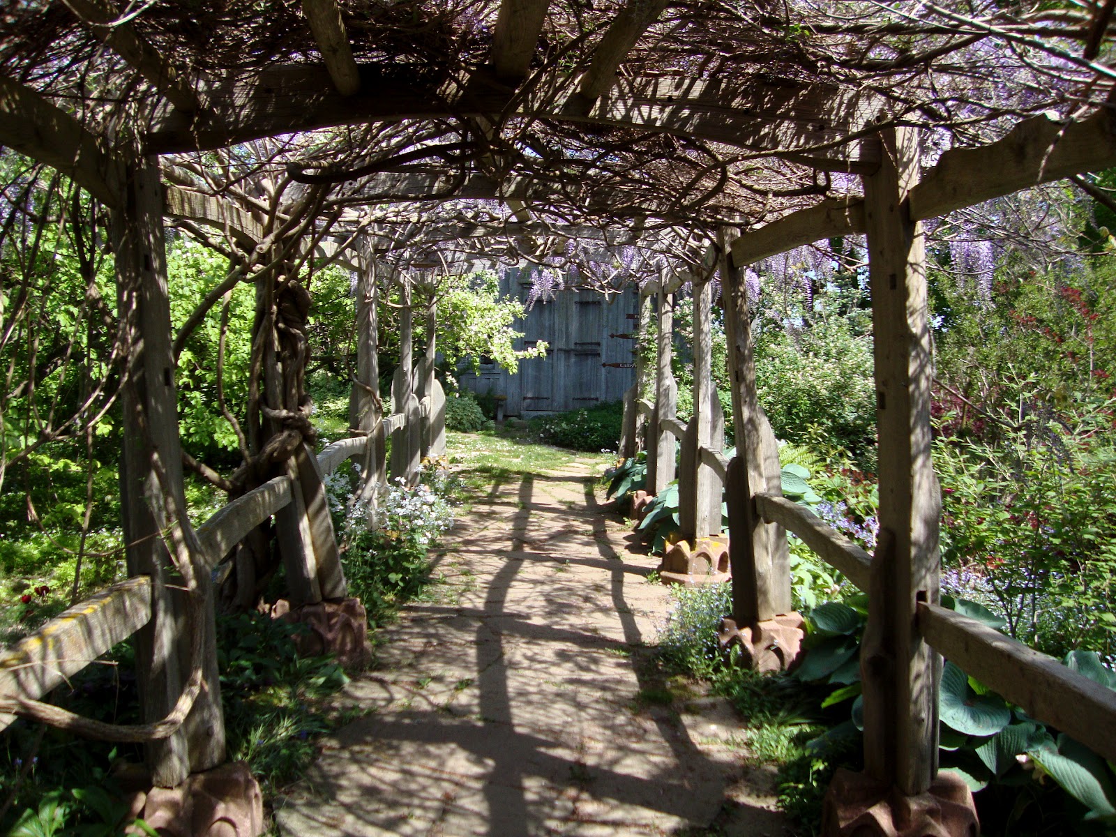 Passage to Sackville.: The Tangled Garden.