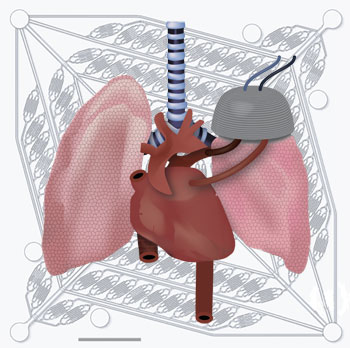 Artificial lungs: New Artificial lung technology