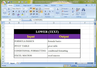 Microsoft Excel LOWER Function - Professional Microsoft Office