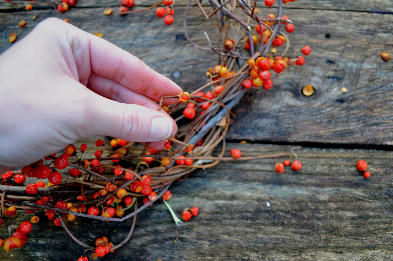 Attic Lace: How to Make a Natural Wreath in 3 Easy Steps
