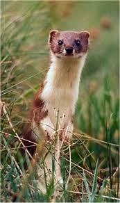 educarte.educarse: 2011-04-10