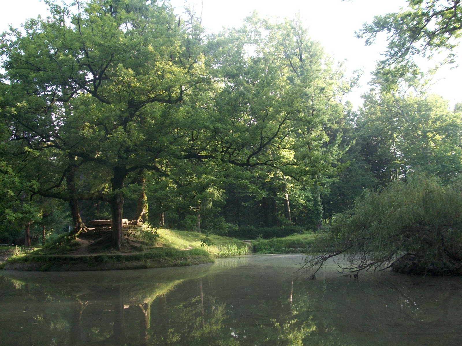 Georgia Georgian: Zugdidi!