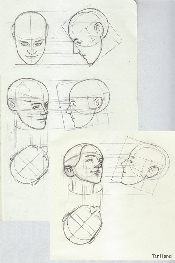 Draw Speak: Head General Model Practice