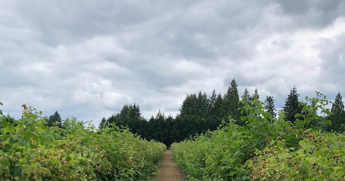 2340 West Newton: Remlinger Farms