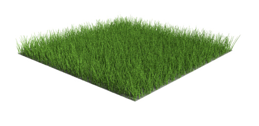 Maya Zest: Creating realistic grass in v-ray Maya using fur