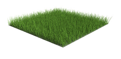 Maya Zest: Creating realistic grass in v-ray Maya using fur