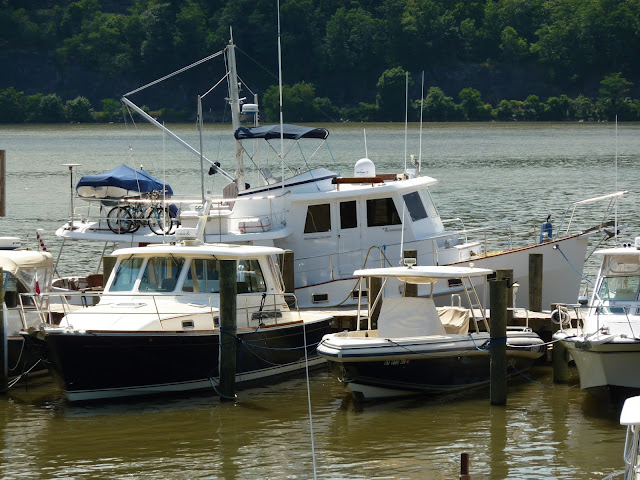 Rick, Deb and Izzy Aboard M/V Broulee and other Wild Adventures. : Back ...