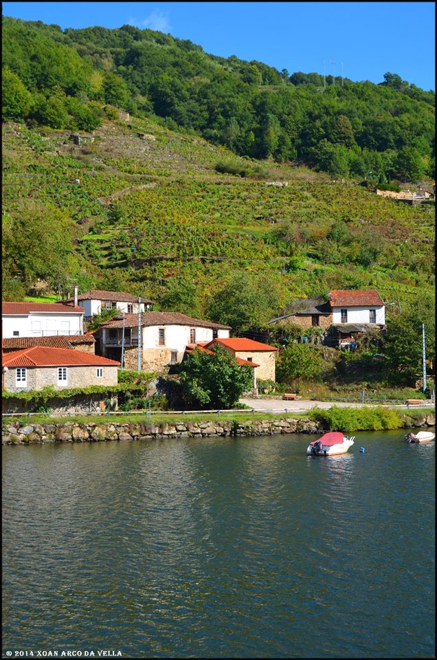 XOAN ARCO DA VELLA: BELESAR - LUGO