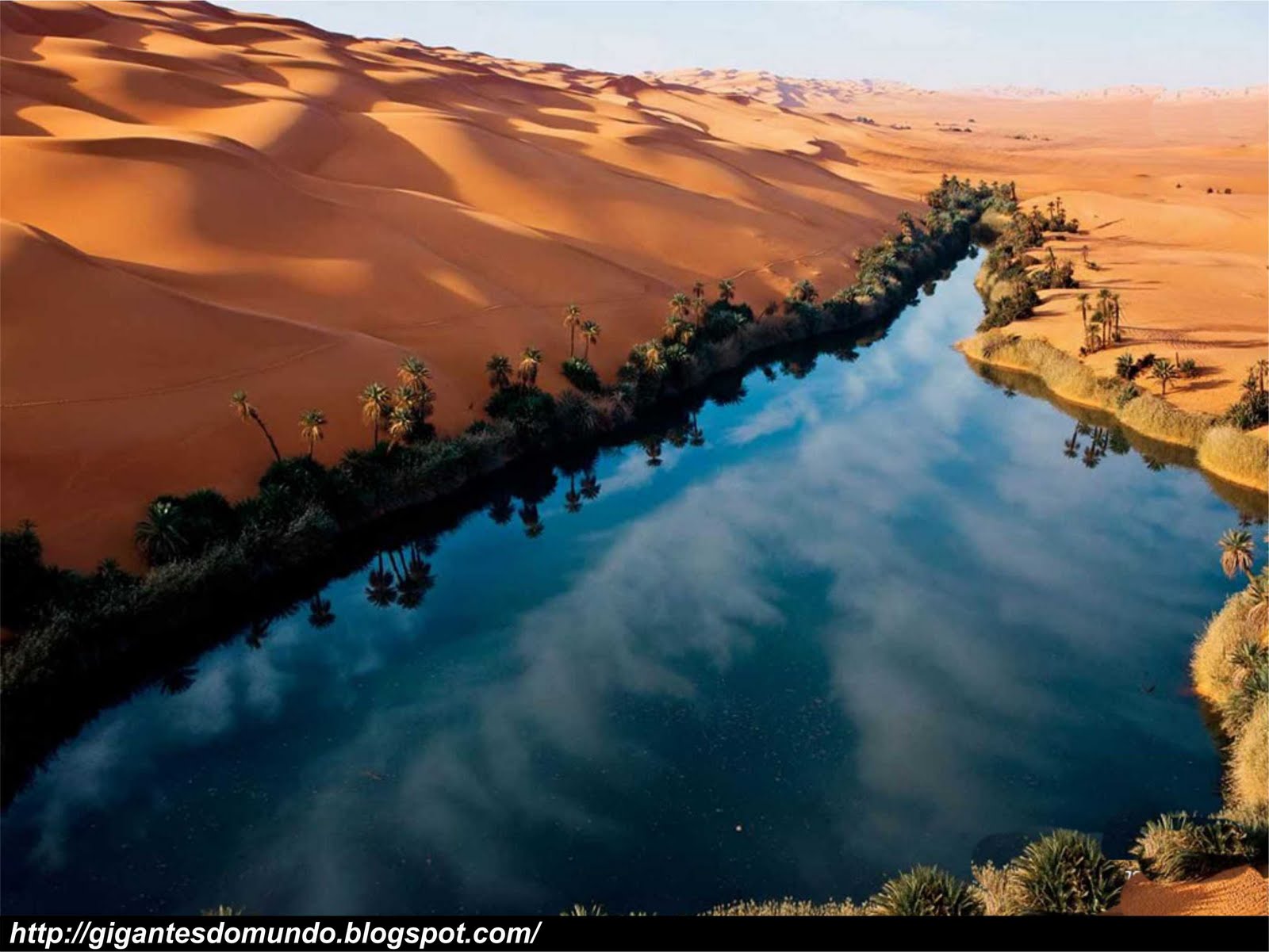 Pensar e Sentir: Oásis