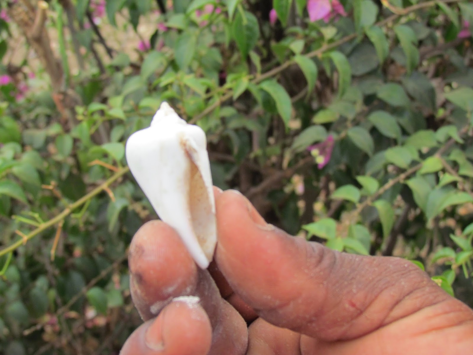 Ushuhuda:- Mganga Amani John-Asalimisha Mkoba na Tunguli Kanisani ...