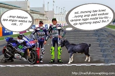 Macfull Blog: Gambar lucu motor gp valentino rossi dan kambing
