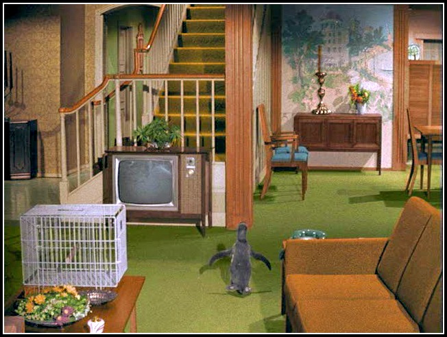 21 Rosemary Lane: The Charming Homes of "Bewitched"