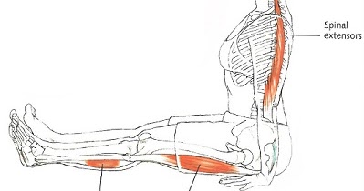 Dandasana Yoga (Staff Pose) | Yoga