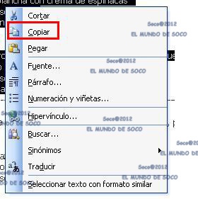 El Mundo de Soco: COPIAR Y PEGAR UN TEXTO