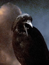 Native American Antiquity: Cherokee Witchcraft: How the medicine men ...