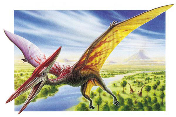 The Daily Puglet: FREAKING PTERODACTYL??