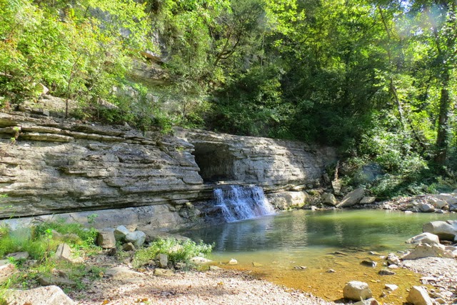 Patchwork Reflections: Harpeth River State Park
