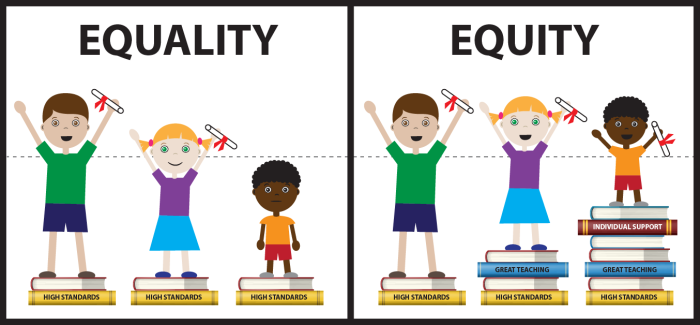 Equality Vs. Equity Viral Visual