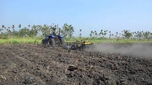 THE PROS AND CONS OF THOROUGH LAND PREPARATION.