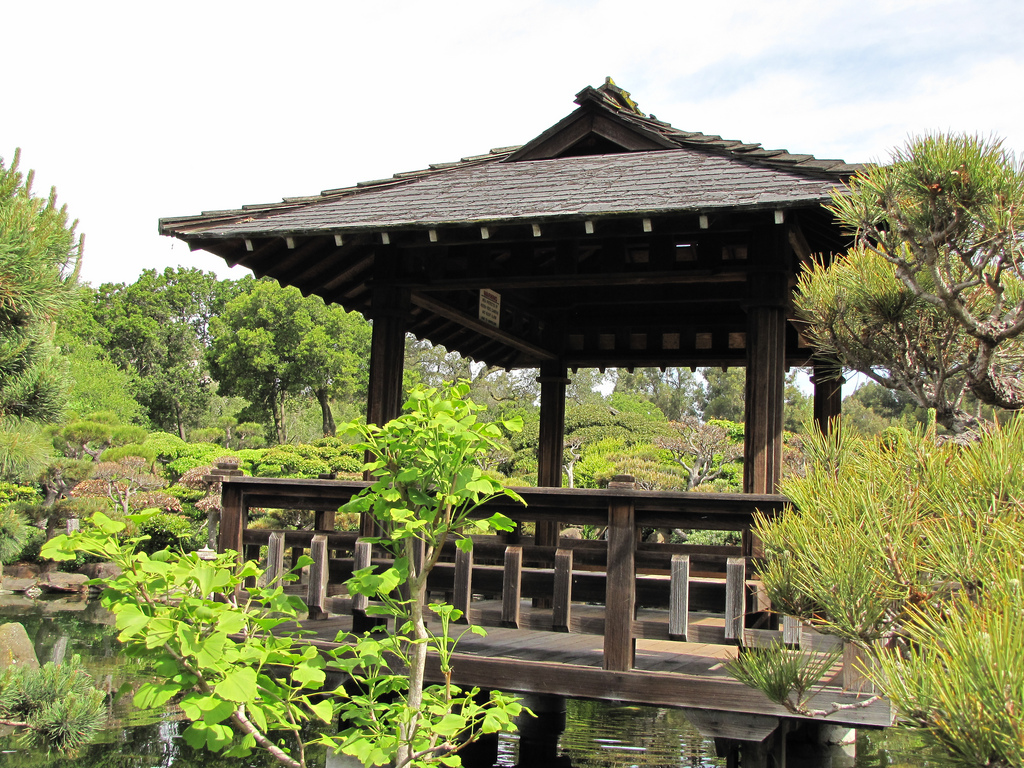 Japanese Zen Garden: Zen Bridge - Pond - Path