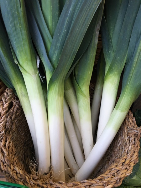 Cuina Cinc: de febrer 2019