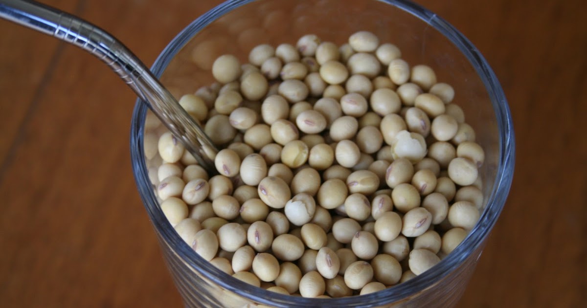 The Freerange Chick: Fresh soy milk