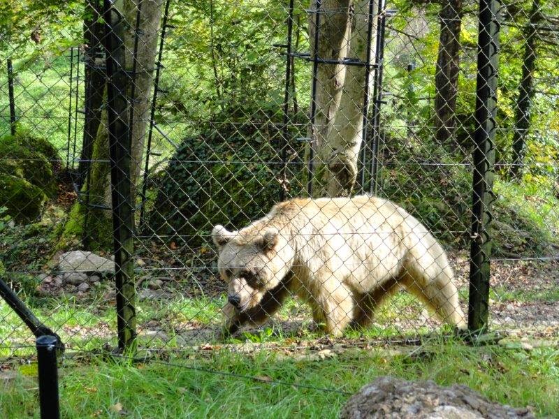 Von Herz und Hand: Tierpark Arth Goldau