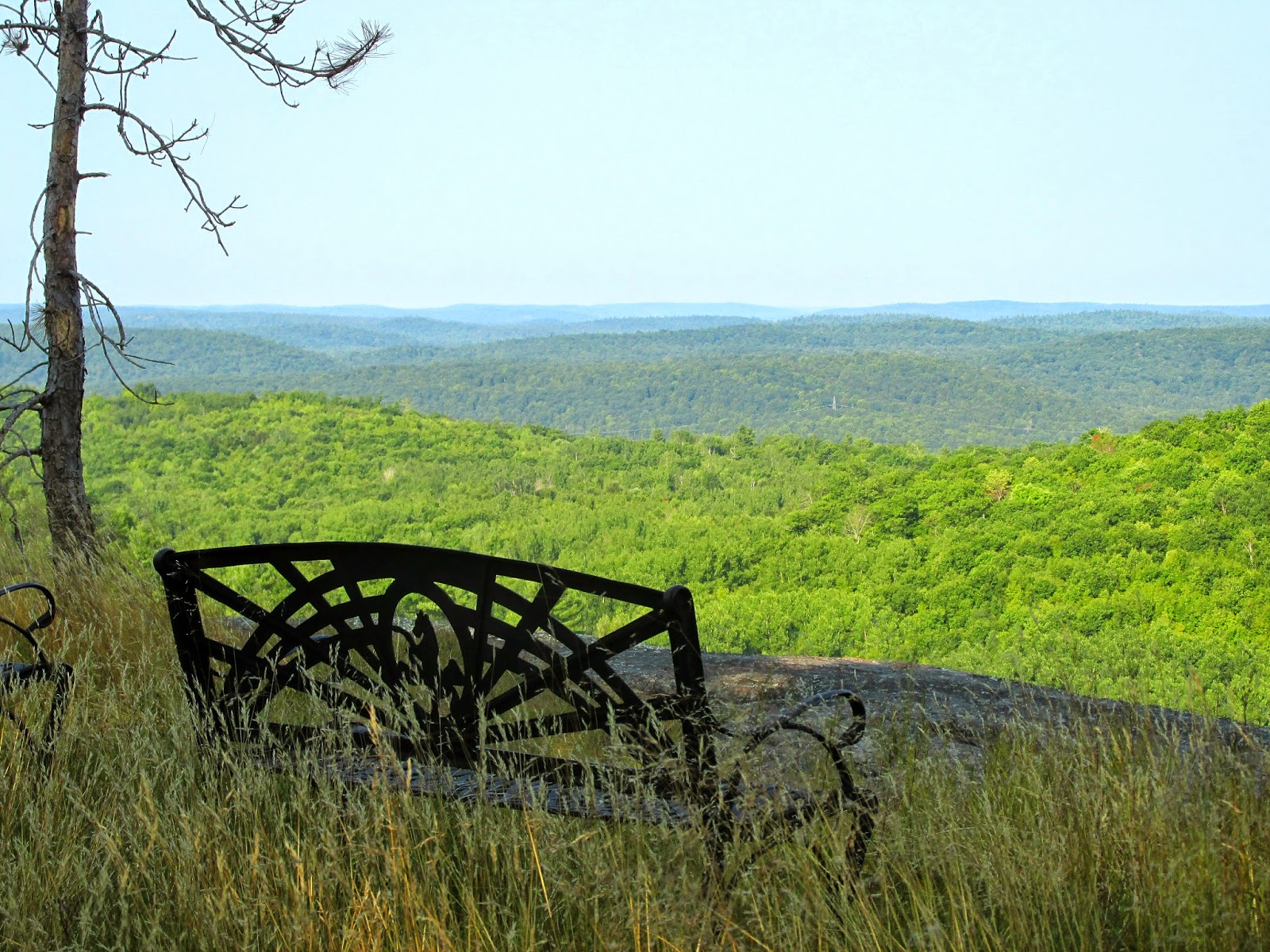 The Passionate Hiker: Blueberry Mountain