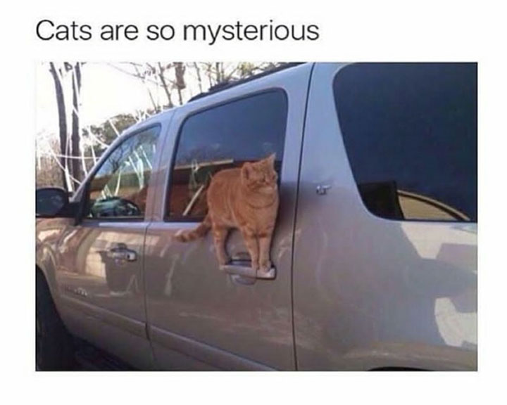 Randomly Choose Funny Memes of The Day (33 Pics) | 9GIG