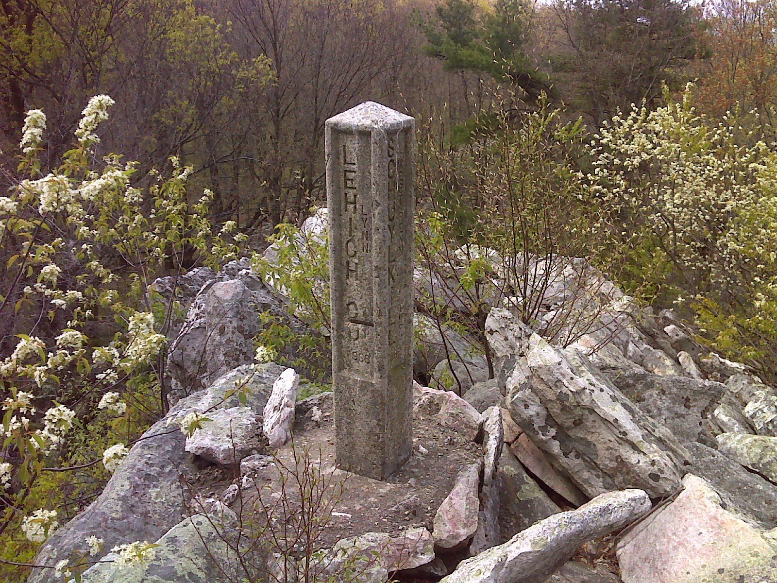 Heart and Sole: Pennsylvania Rocks!